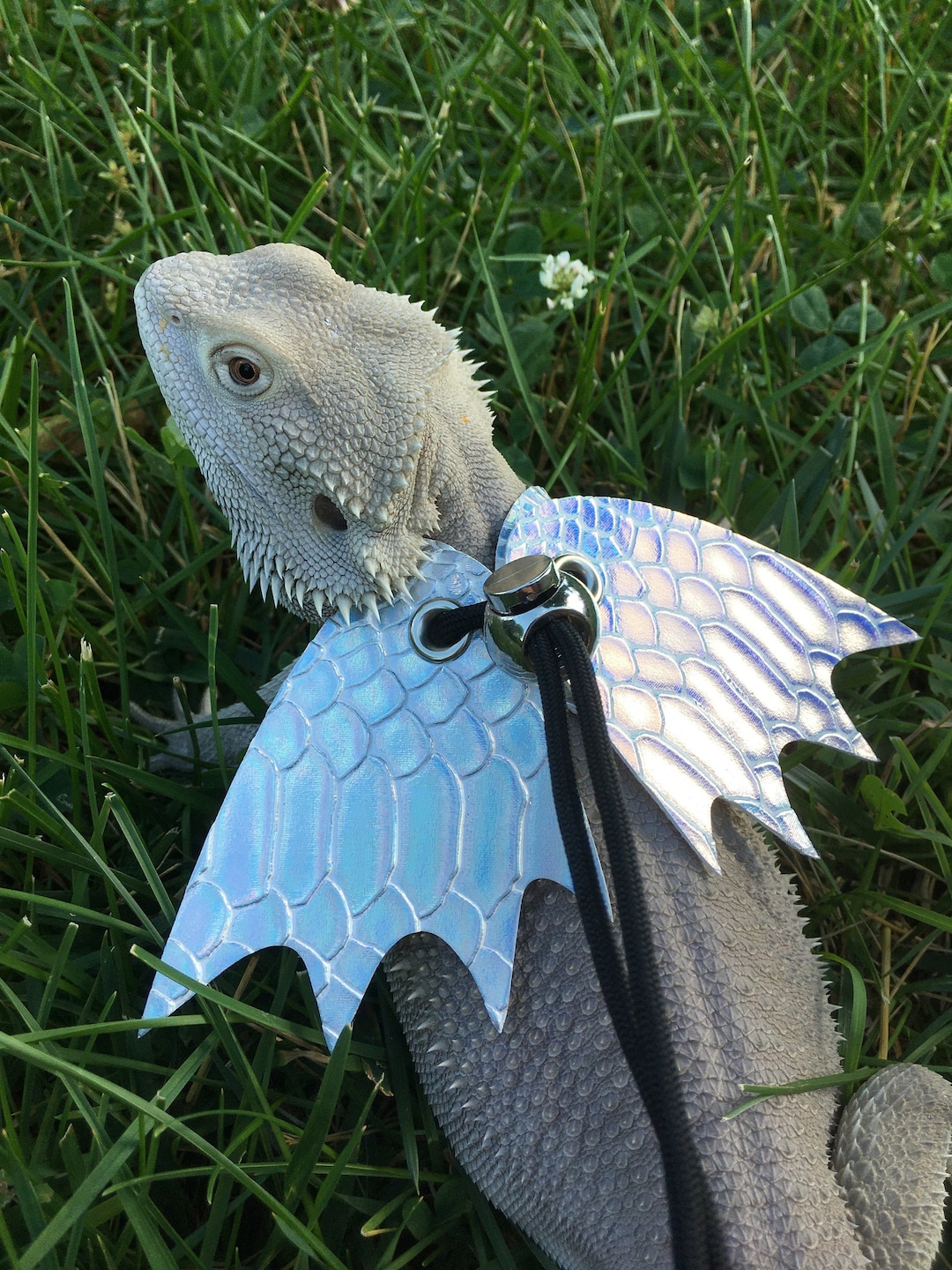 Vegan Leather Lizard Harness--opal Dragon With Wings - Etsy