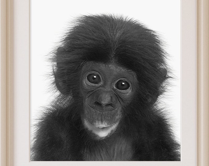 Monkey Print, the Crown Prints, Nursery Wall Art, Safari Animal Prints ...