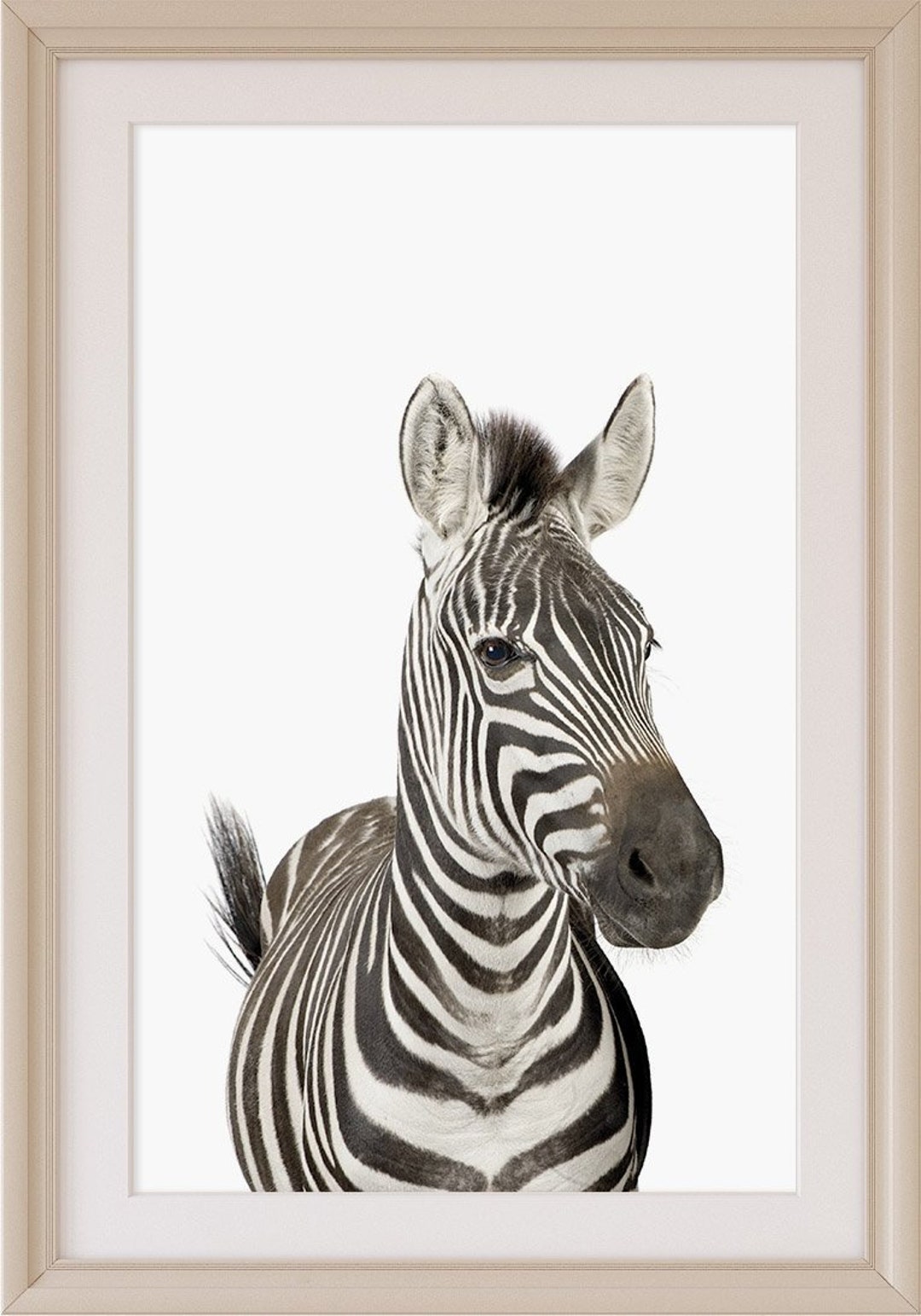 Safari Nursery Decor, Zebra Print, PRINTABLE Art, Safari Animals Wall ...
