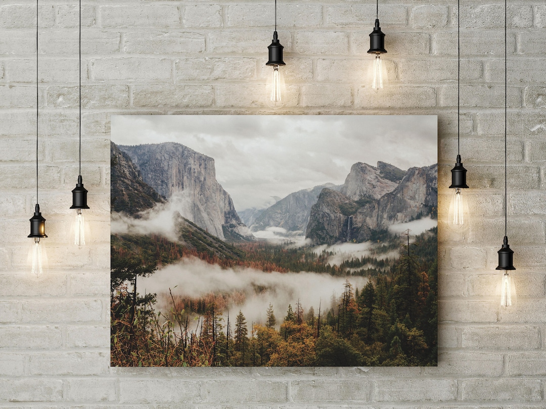 Forest Print, Forest Poster, Digital Print, Landscape Print, Forest ...