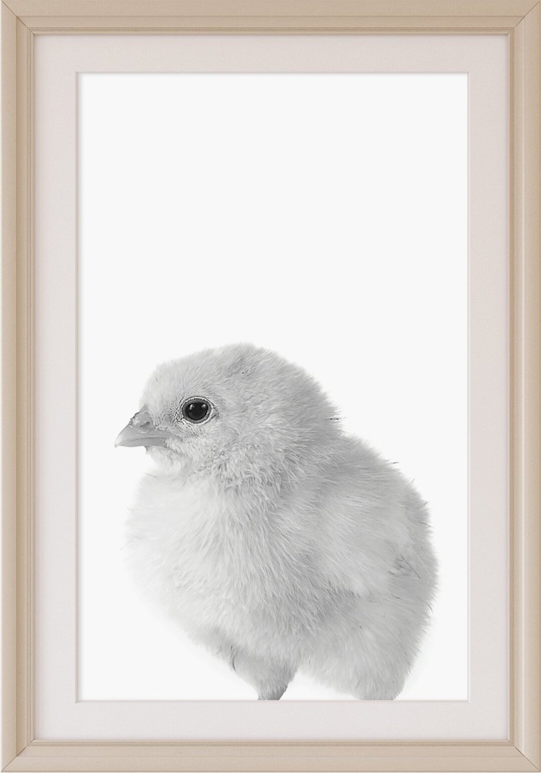 Baby Chick Print, Farmhouse Decor, Farmhouse Wall Decor, Digital ...