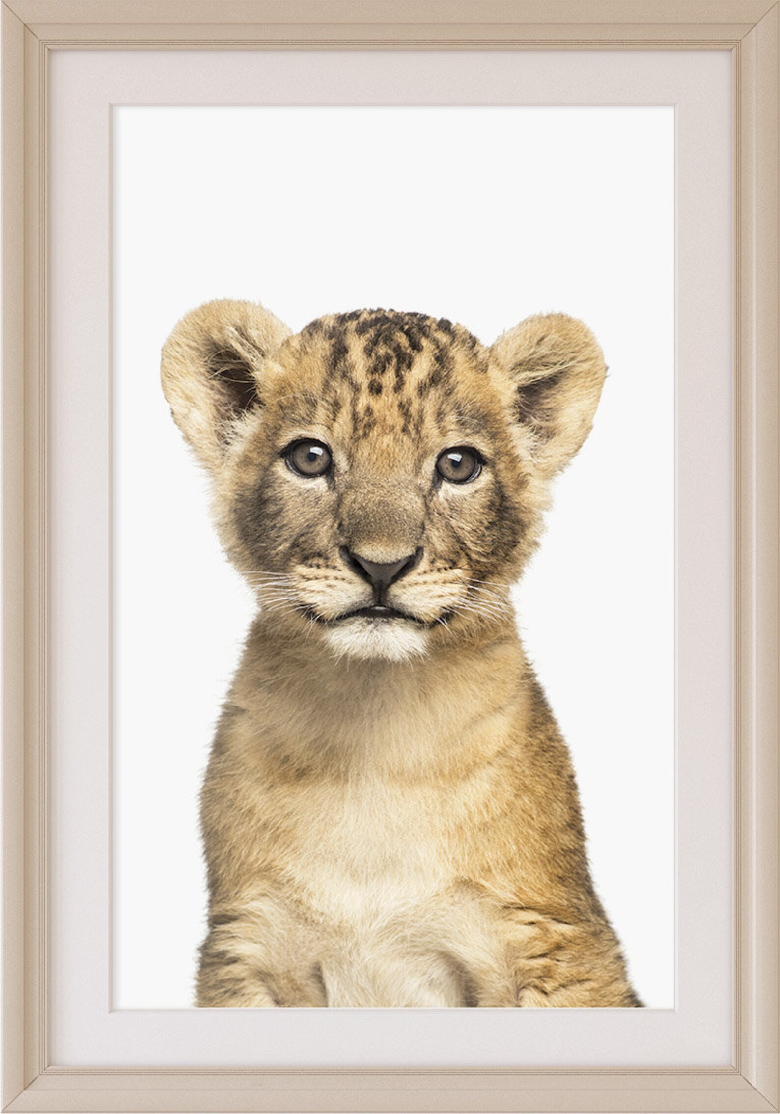 Lion Print, Safari Animal Prints, PRINTABLE Nursery Art, Lion Cub ...