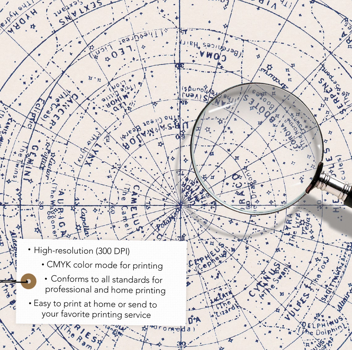 Astrology Print, Old Star Chart Vintage Astrology Print, Constellation ...