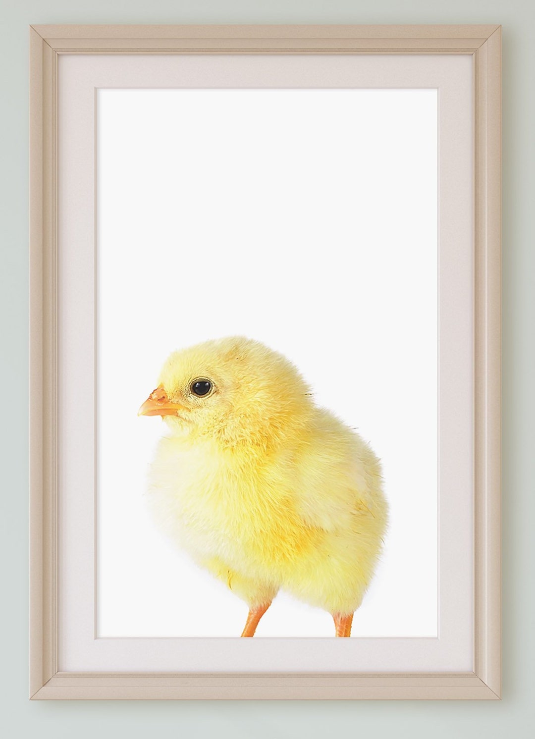 Nursery Decor, Chick Print, PRINTABLE Art, Nursery Art, Baby Animal ...