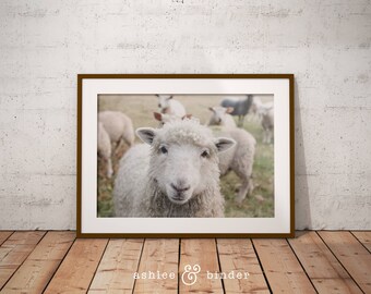 Sheep poster | Etsy