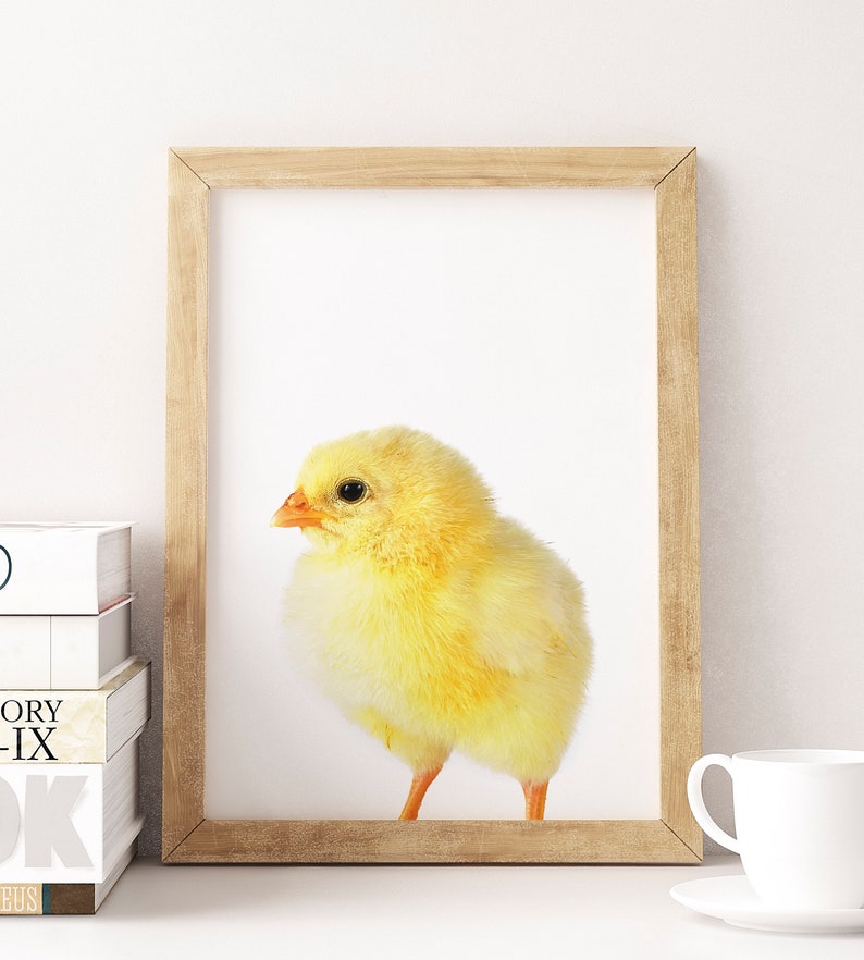 Nursery Decor Chick Print PRINTABLE Art Nursery Art Baby - Etsy