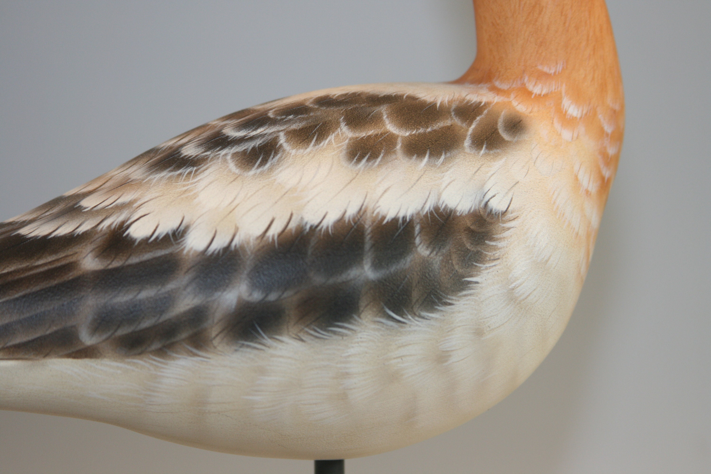 American Avocet Shorebird ,decoy, Bird Carving, Hand Carved. - Etsy
