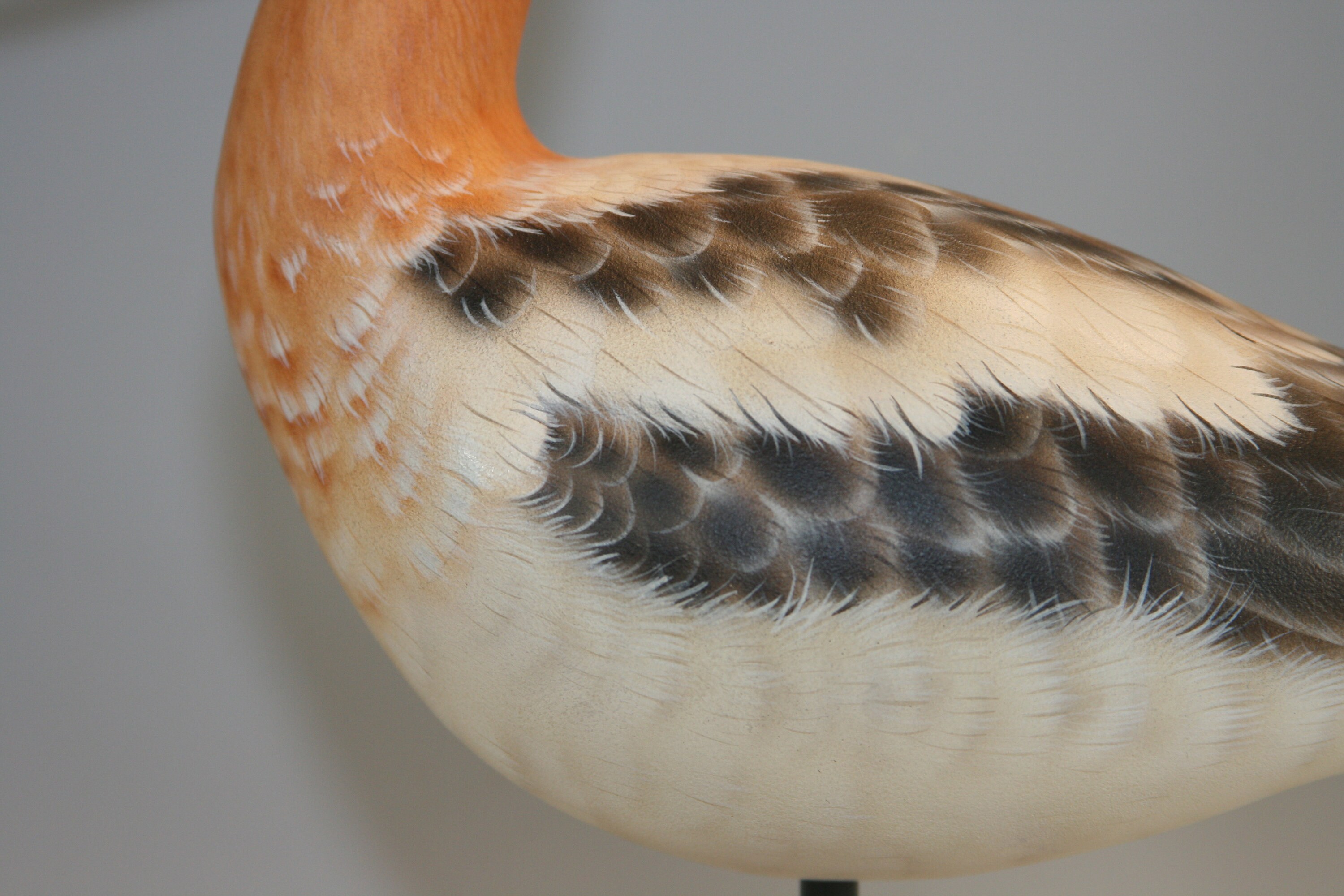 American Avocet Shorebird ,decoy, Bird Carving, Hand Carved. - Etsy