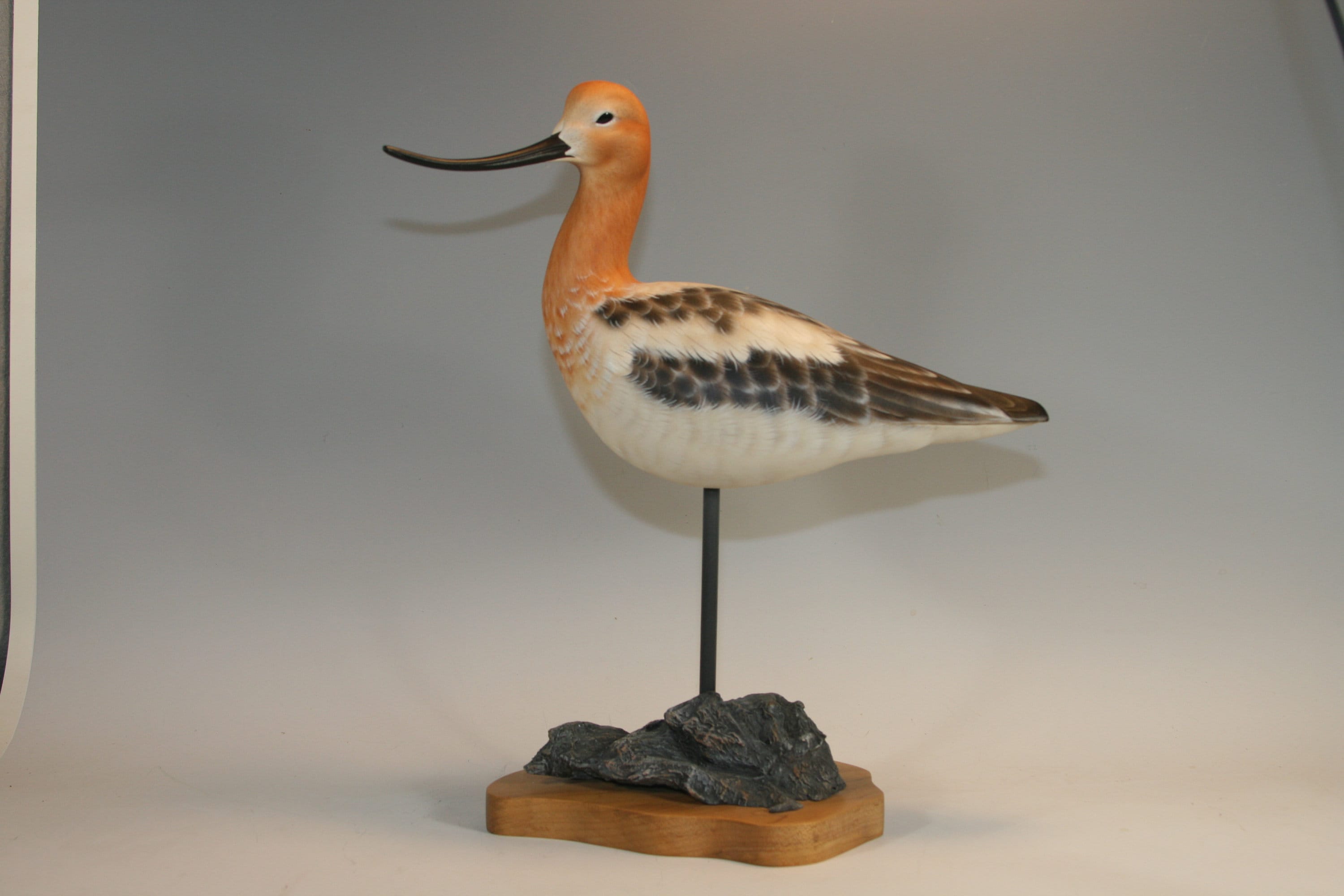 American Avocet Shorebird ,decoy, Bird Carving, Hand Carved. - Etsy