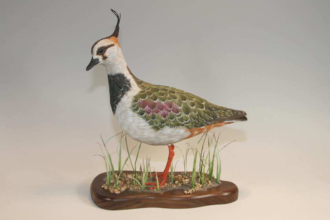 Northern Lapwing. Decoy, Bird Carving, Hand Carved - Etsy