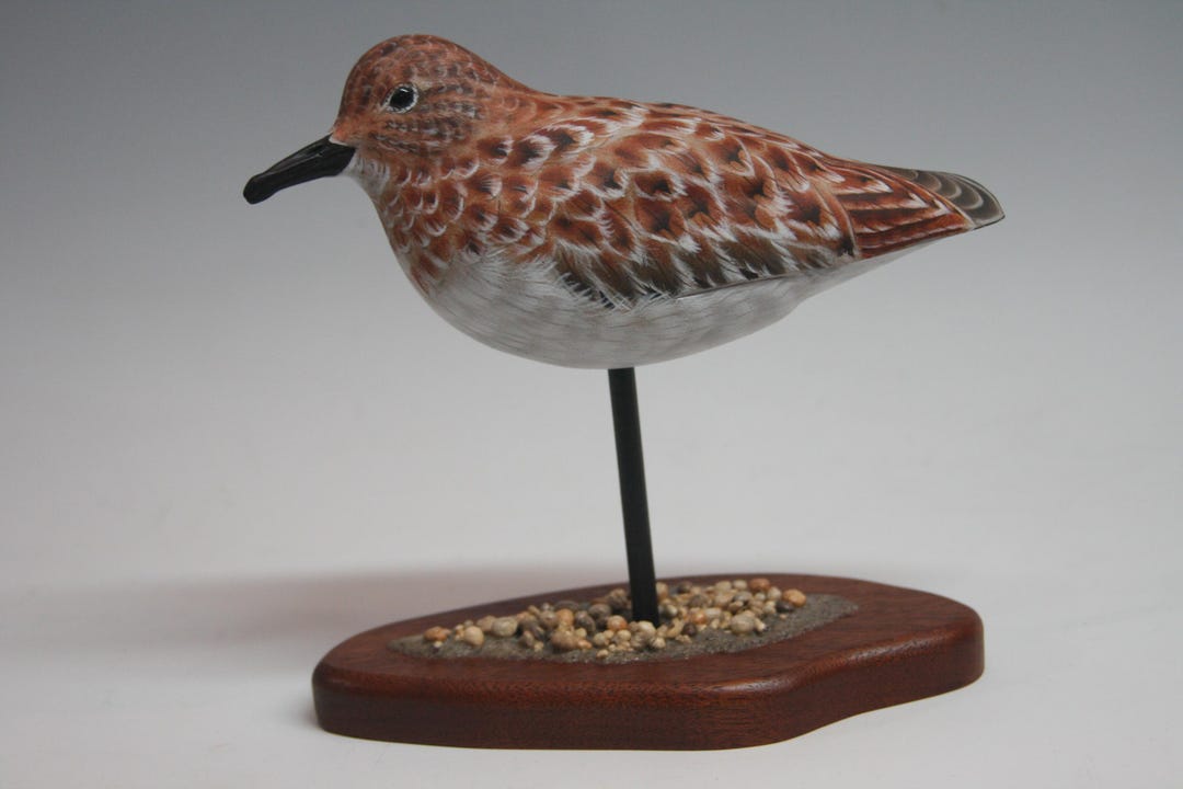 Sanderling Shorebird, Carving, Hand Carved, Basswood, Sculpture - Etsy
