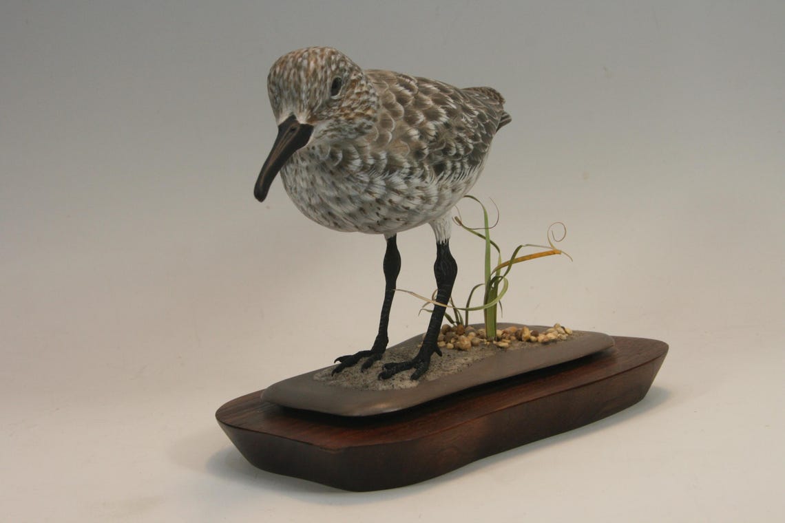Dunlin Shorebird Woodcarving, Hand Made, Basswood, - Etsy