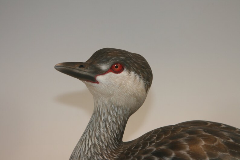 Horned Grebe. Decoy, Woodcarving, Duck. - Etsy