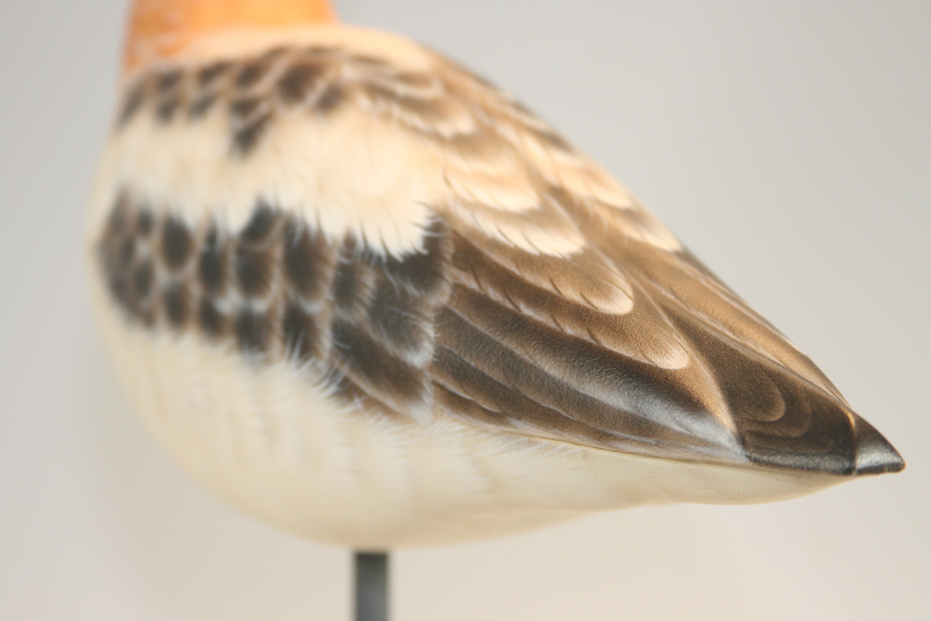 American Avocet Shorebird ,decoy, Bird Carving, Hand Carved. - Etsy
