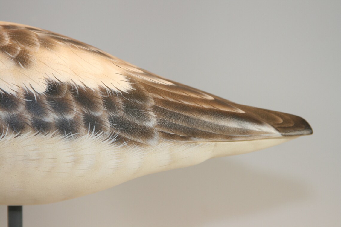 American Avocet Shorebird ,decoy, Bird Carving, Hand Carved. - Etsy