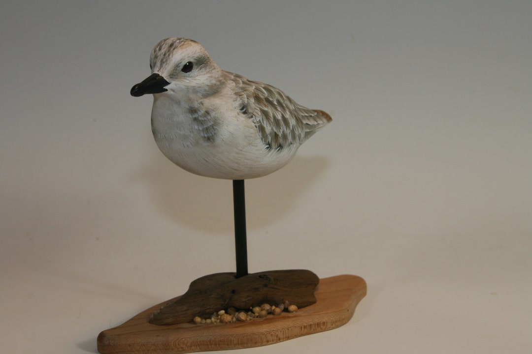 Shorebird ,sanderling, Bird Carving, - Etsy