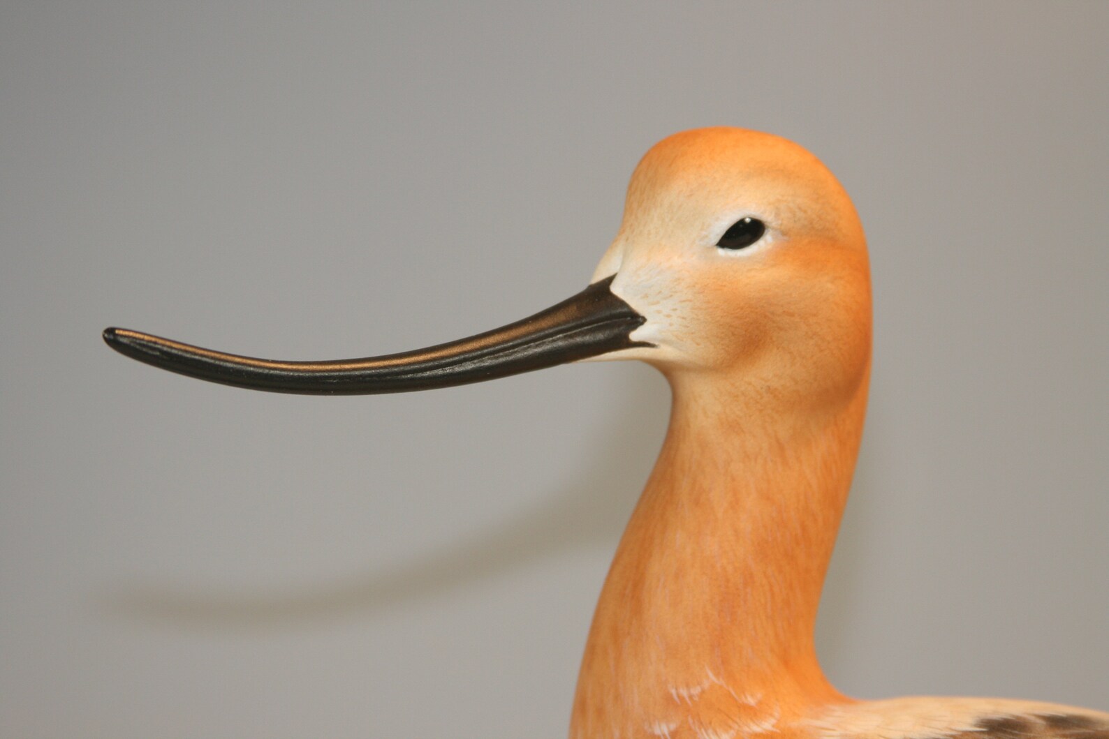 American Avocet Shorebird ,decoy, Bird Carving, Hand Carved. - Etsy
