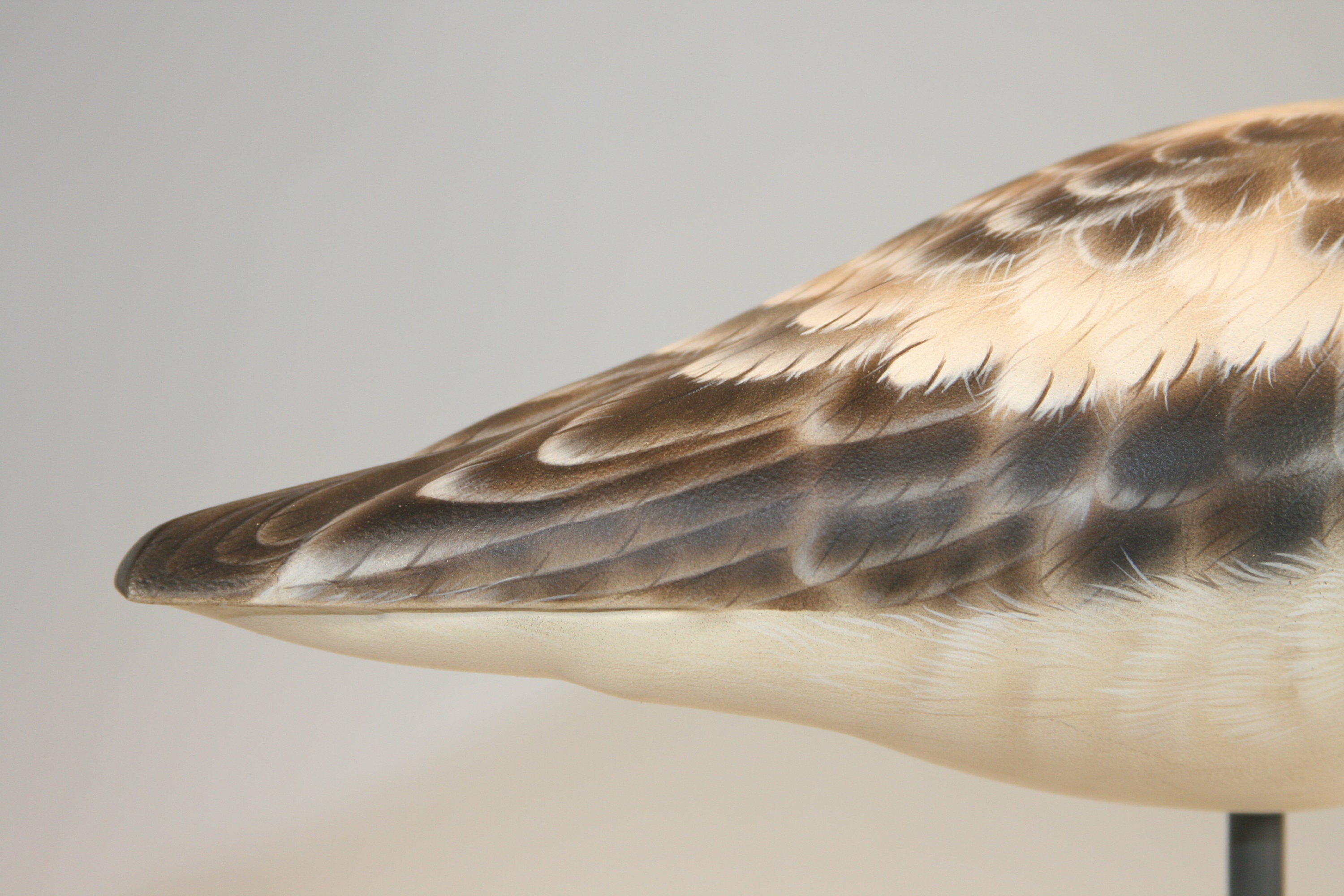 American Avocet Shorebird ,decoy, Bird Carving, Hand Carved. - Etsy