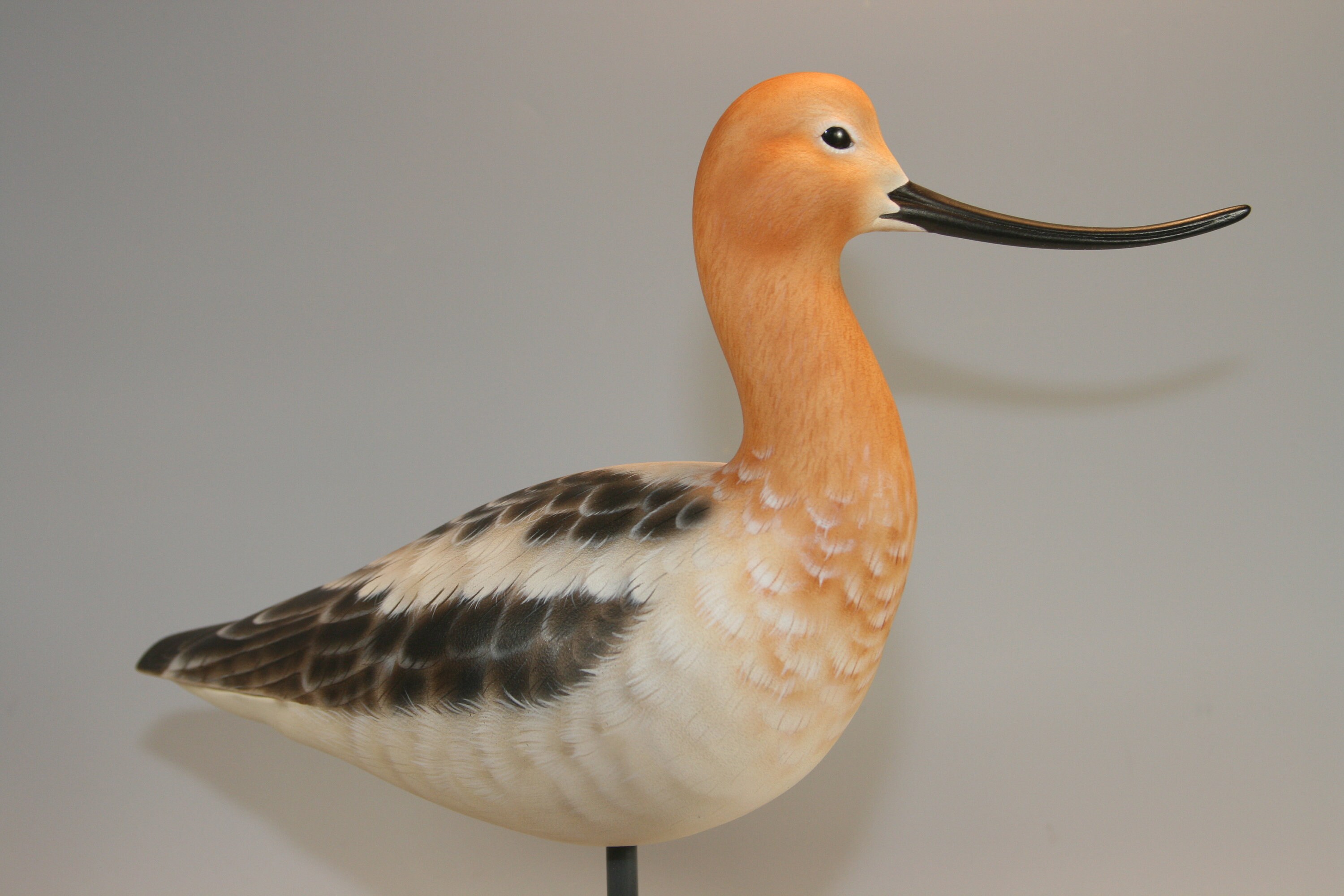 American Avocet Shorebird ,decoy, Bird Carving, Hand Carved. - Etsy