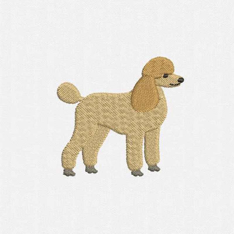 Poodle Embroidery - Etsy