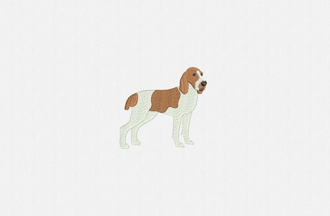 Bracco Italiano Dog Machine Embroidery Design - 3 Sizes - Etsy