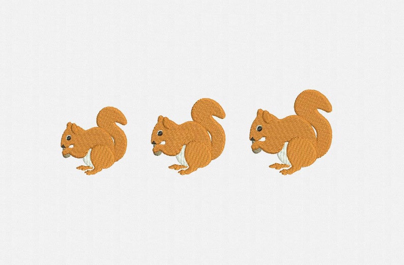 Mini Squirrel Machine Embroidery Design - 3 Sizes - Etsy