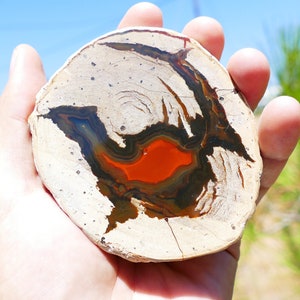 Thunder Egg Australian Agate Geode ''picture'' - Etsy