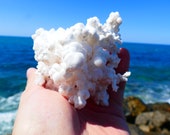 204 Calcite Crystal Cluster Mineral Specimen White Popcorn - Etsy UK