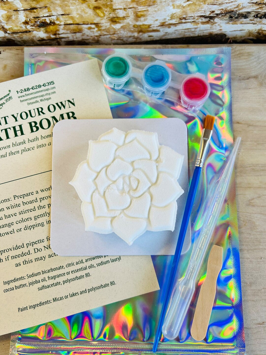 Paint Your Own Succulent Bath Bomb Kit - Etsy