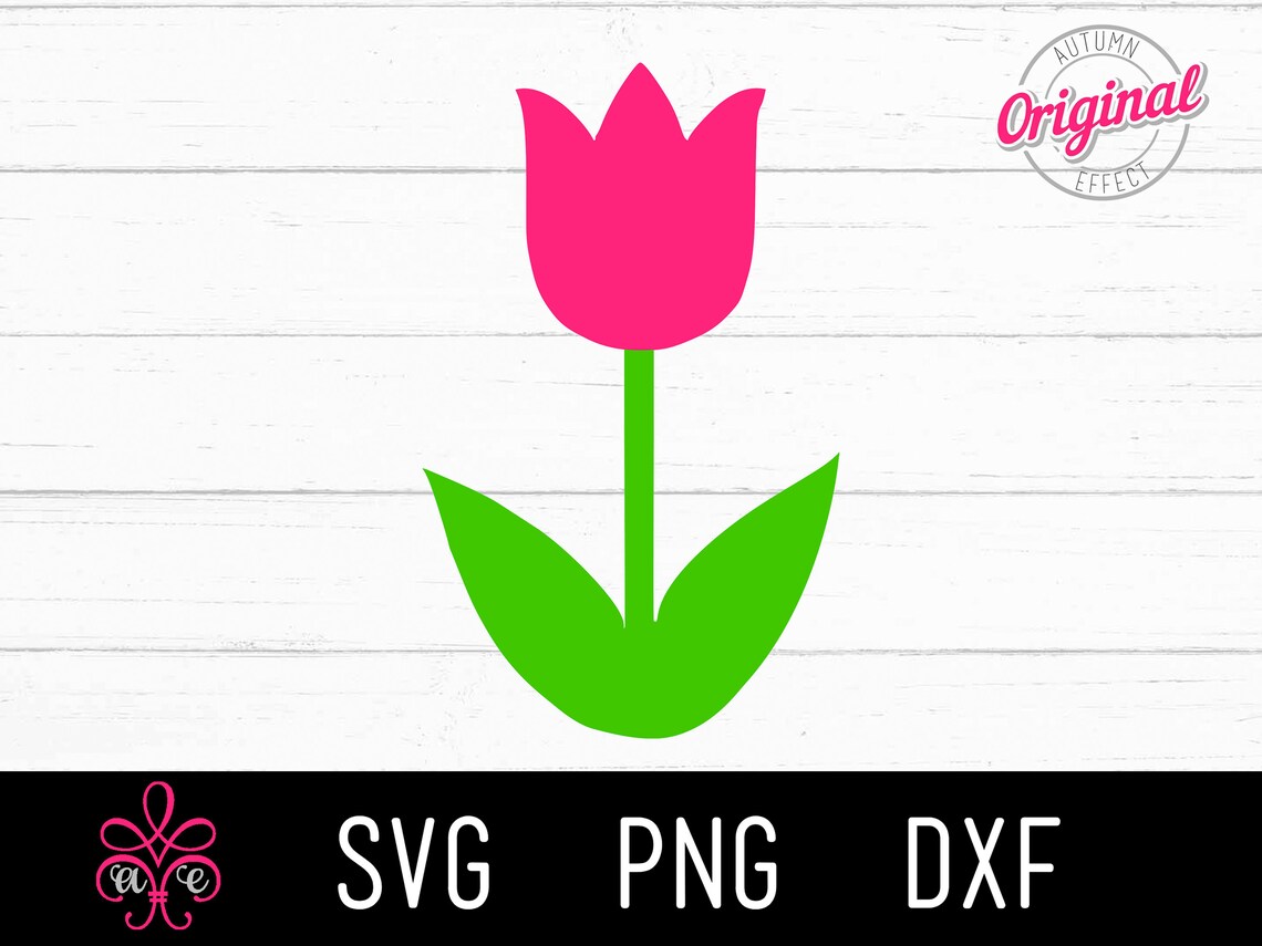 Tulip SVG Tulips PNG Flower SVG Spring Flower Tulip - Etsy