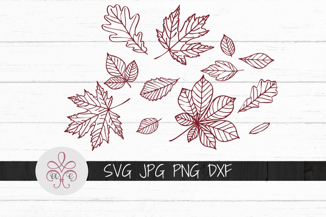 Fall Leaves SVG DXF Thanksgiving Cut File Fall Leaf Design | Etsy