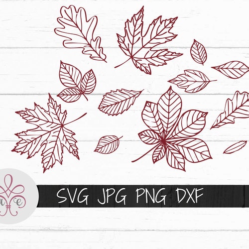 Fall Leaves SVG DXF Thanksgiving Cut File Fall Leaf Design - Etsy