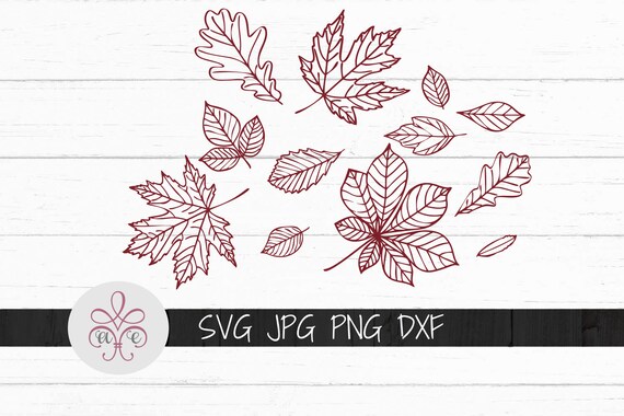 Fall Leaves SVG DXF Thanksgiving Cut File Fall Leaf Design - Etsy