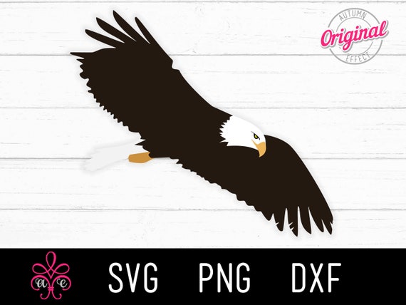 Eagle SVG Eagle SVG Eagle Cut File Eagle Clipart Bald - Etsy