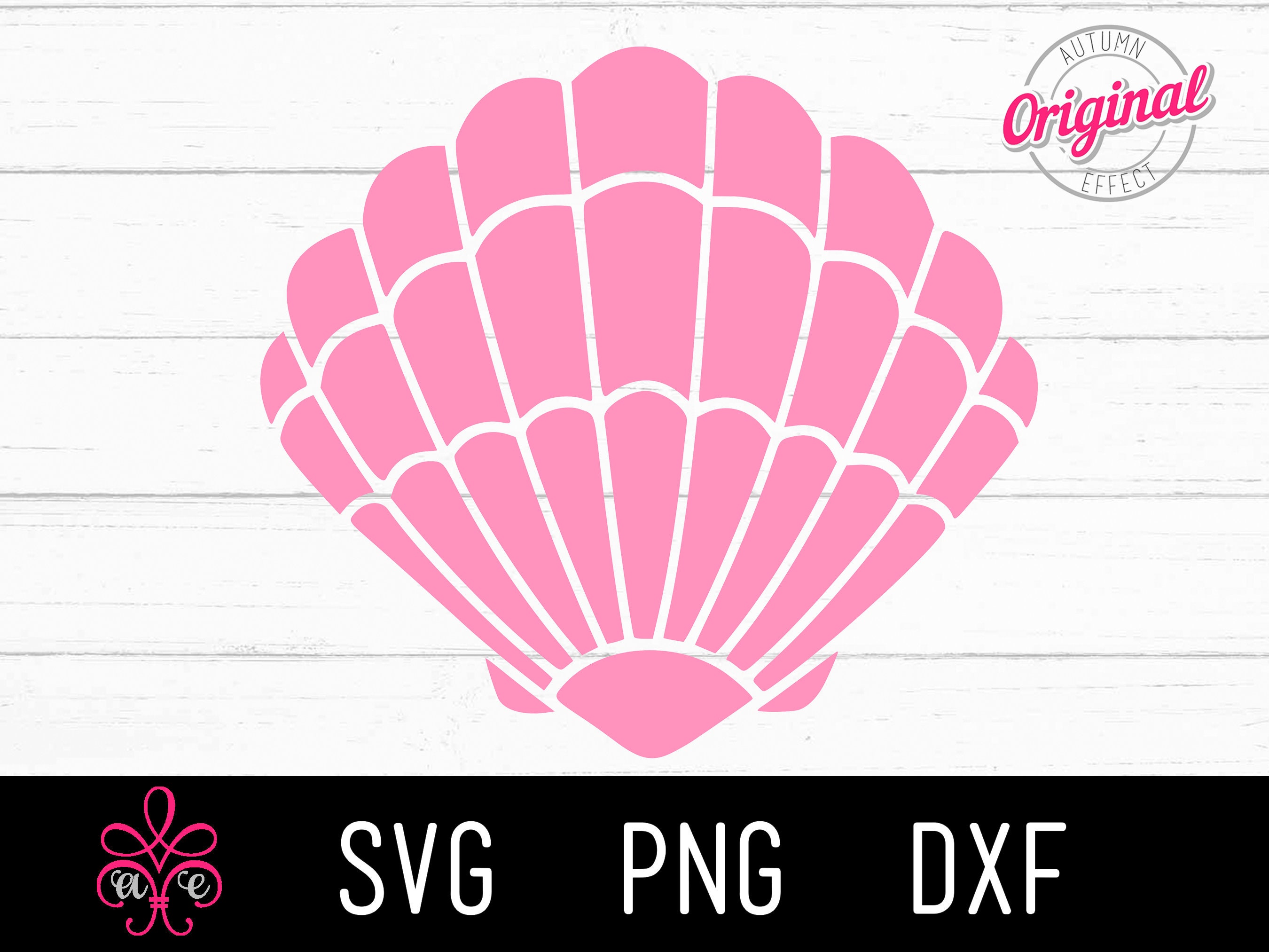 Seashell SVG Shell SVG Instant Digital Download Beach SVG, Tropical ...