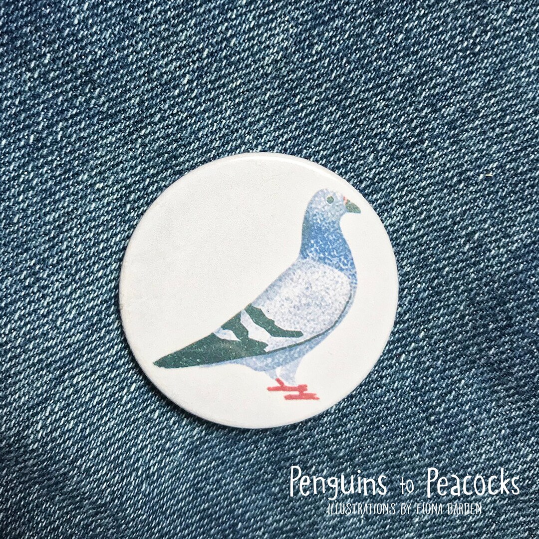 Pigeon Badge / Pigeon Magnet. 38mm Illustrated Button Badge or - Etsy