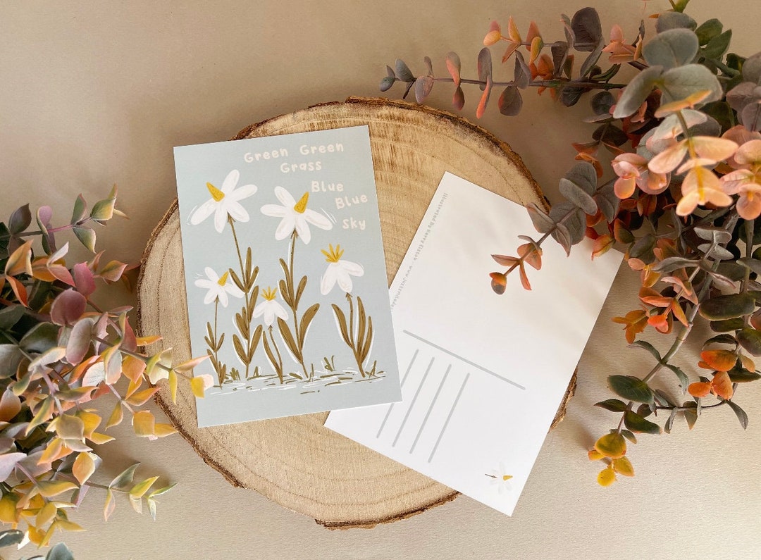 Daisy Flower Postcard - Illustrated Postcard - Cute Postcard - Floral ...
