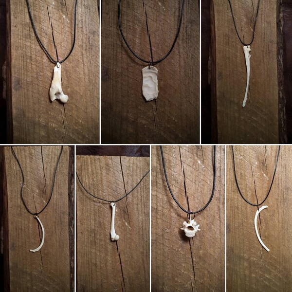 Animal Bone Jewelry - Etsy