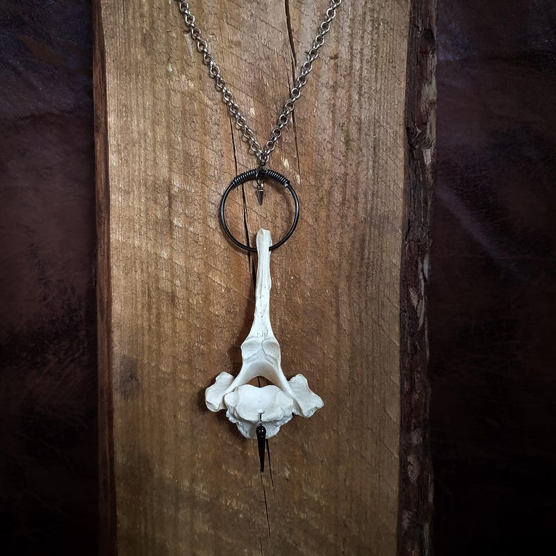 Animal Bone Jewelry - Etsy