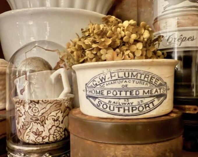 Antique English Advertising Pot/english Plumtree Potted Meat Pot ...