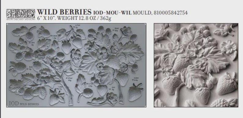 Wild Berries Iod Mould! Iron Orchid Designs - Etsy