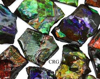 Ammolite Rough - Etsy