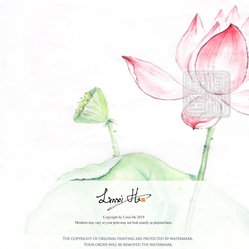 Original Lotus Watercolor Flower Ink Painting/chinese - Etsy