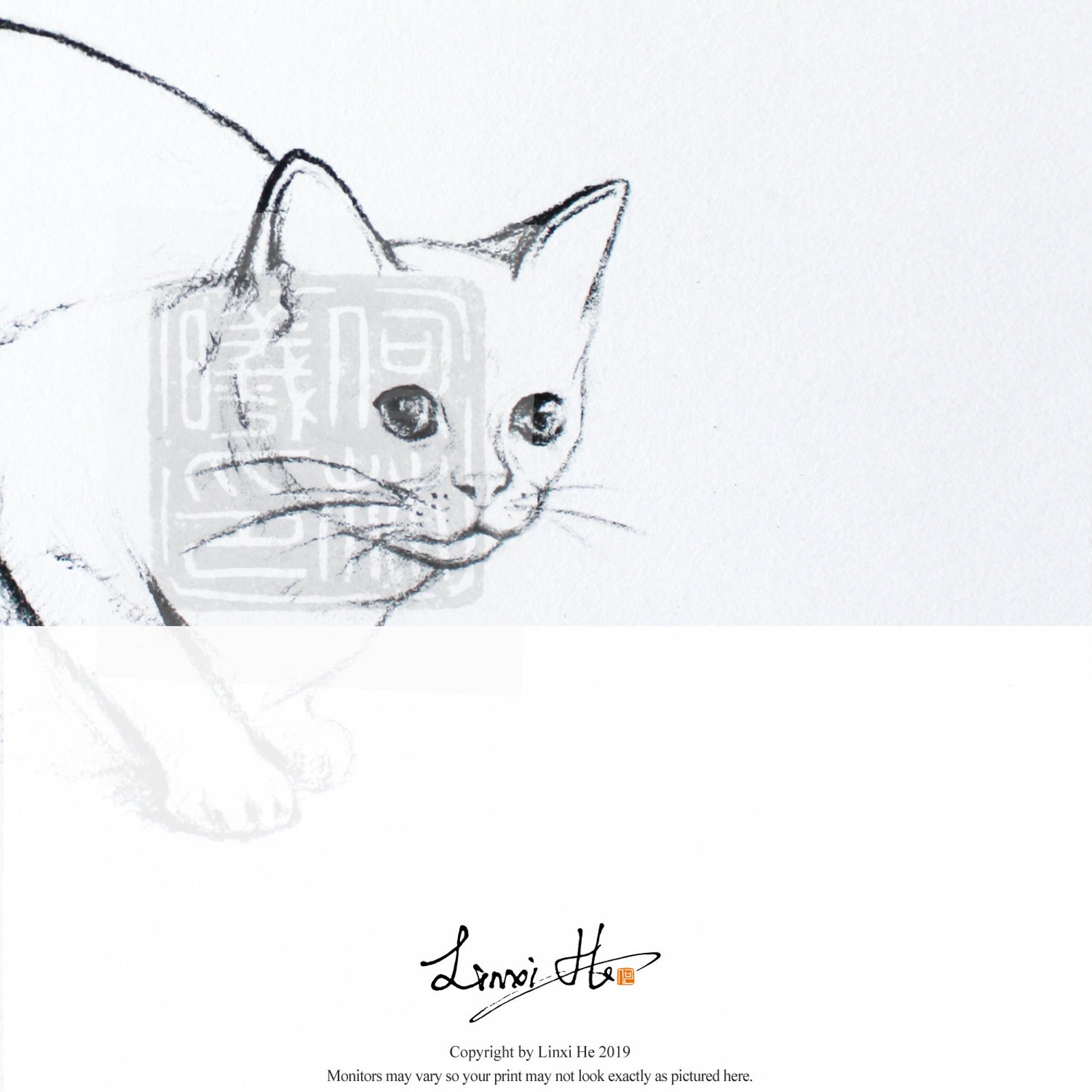 Cat Sketch Original Movement Animalanimal Drawingcharcoal - Etsy