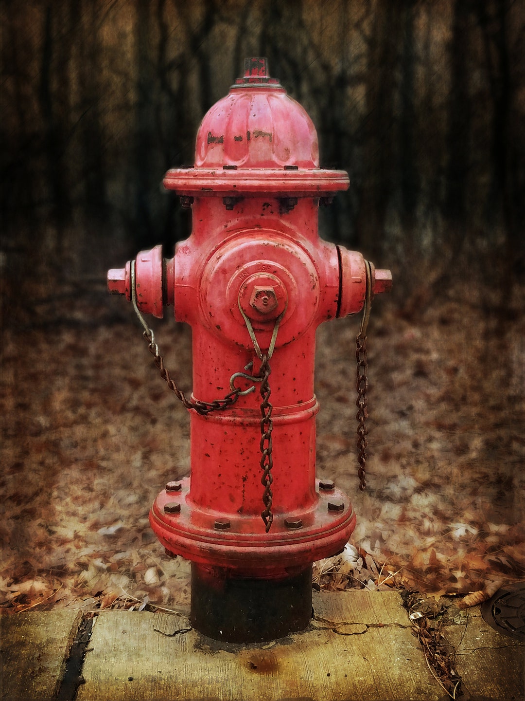 Red Hydrant, Hydrant, Street, Print, Wall Decor, Photography, Color ...