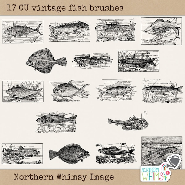Freshwater Fish Clip Art - Etsy