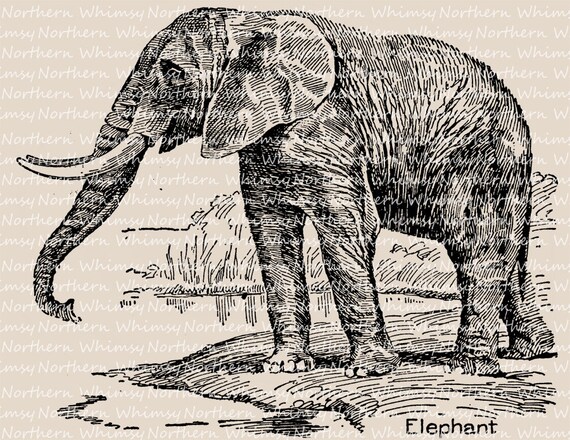 Vintage Elephant Clip Art