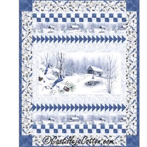 Winter Jays Quilt Pattern: Panel Quilt (PDF Download, 56x70 Lap Throw ...