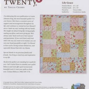 Turning Twenty the Original -quilt Pattern-book 1 Tricia Cribbs - Etsy