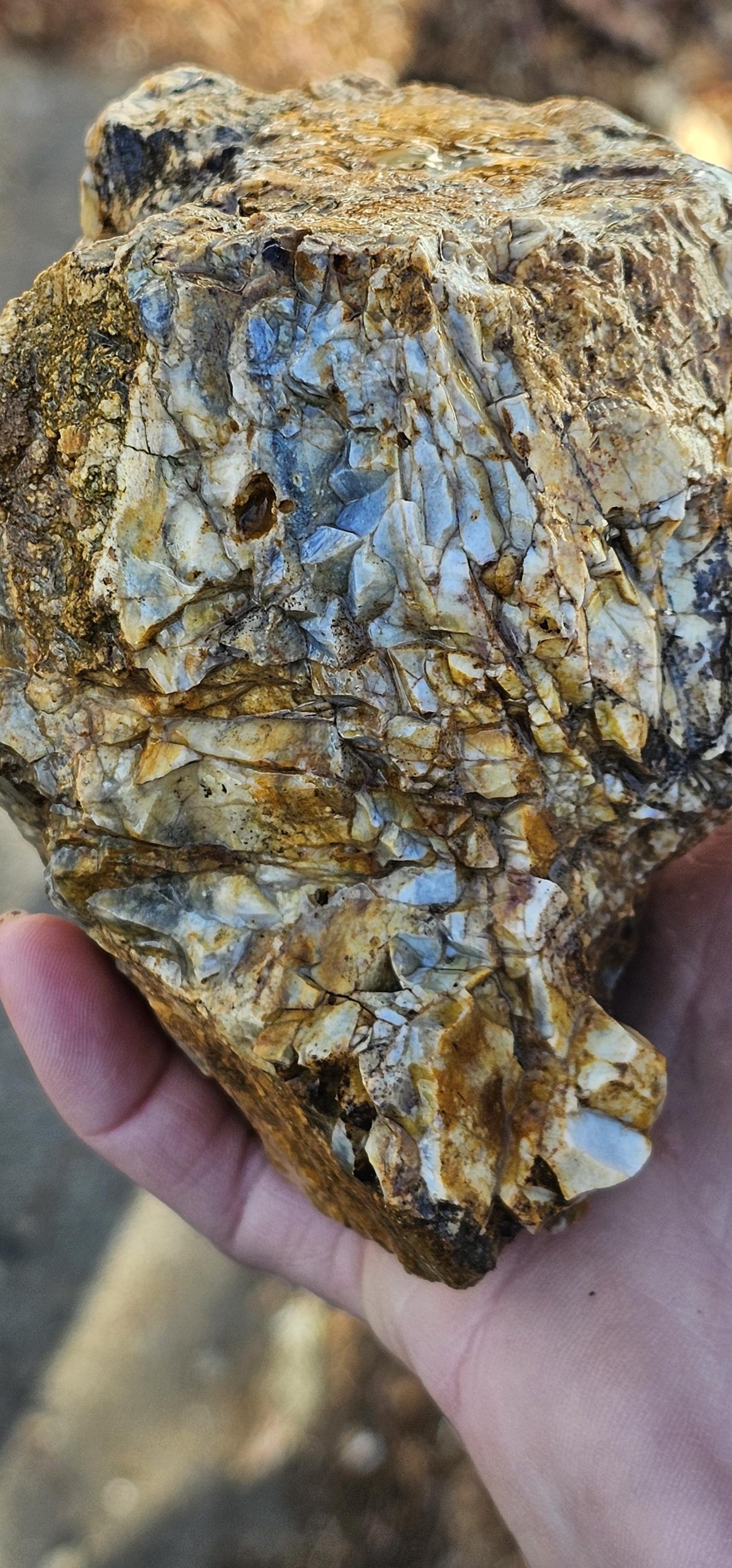 Nethers Farm FLINT RIDGE OHIO Chert Flint Crystal Specimen - Etsy